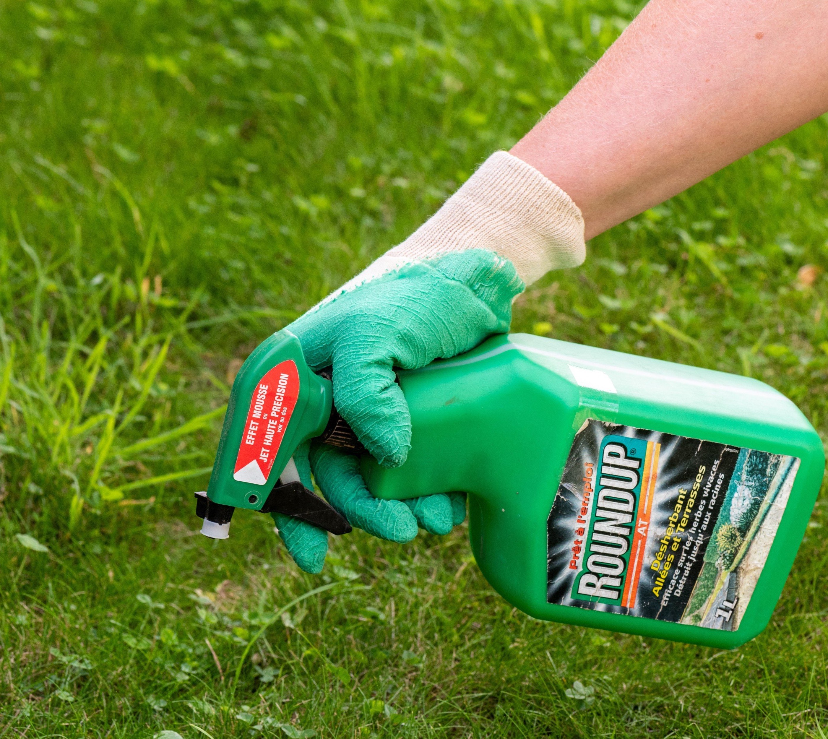 Injured From Roundup? Get compensated | Tosi Law